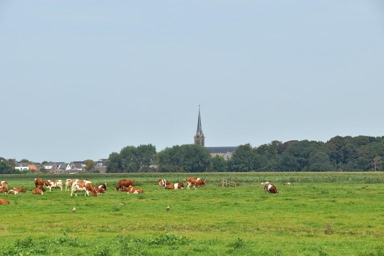 Stompwijk – Scholte Verhuis Groep – Euromovers